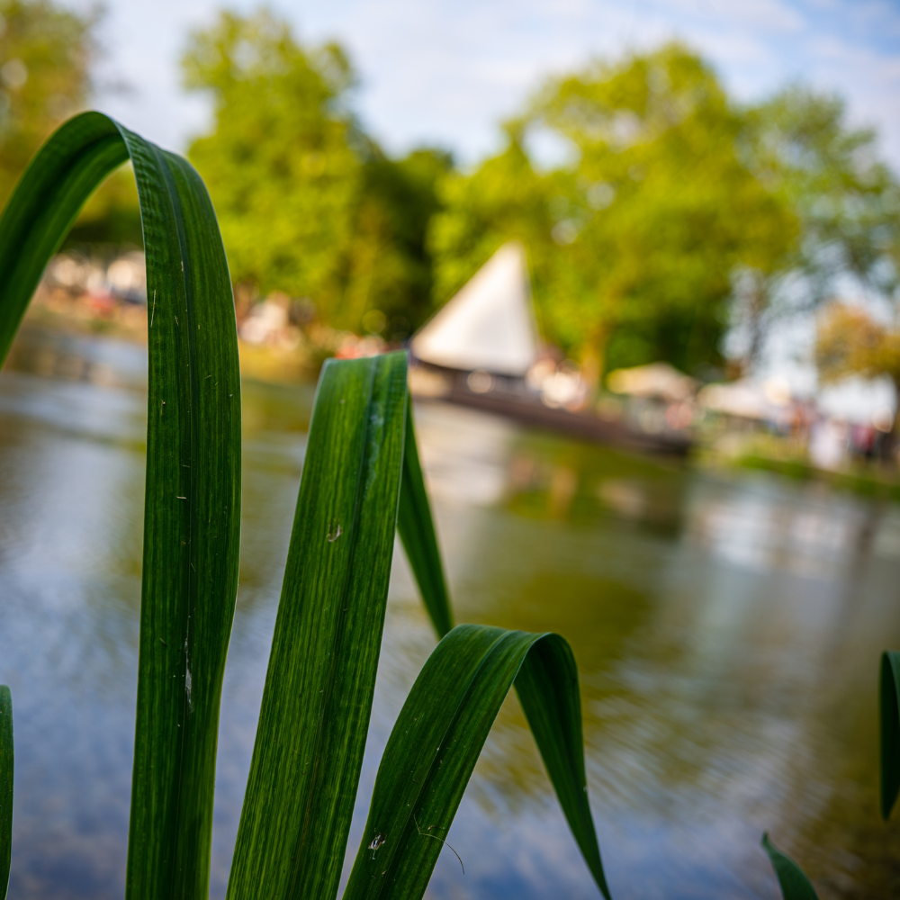 Freizeit & Tourismus - Stadt Selb